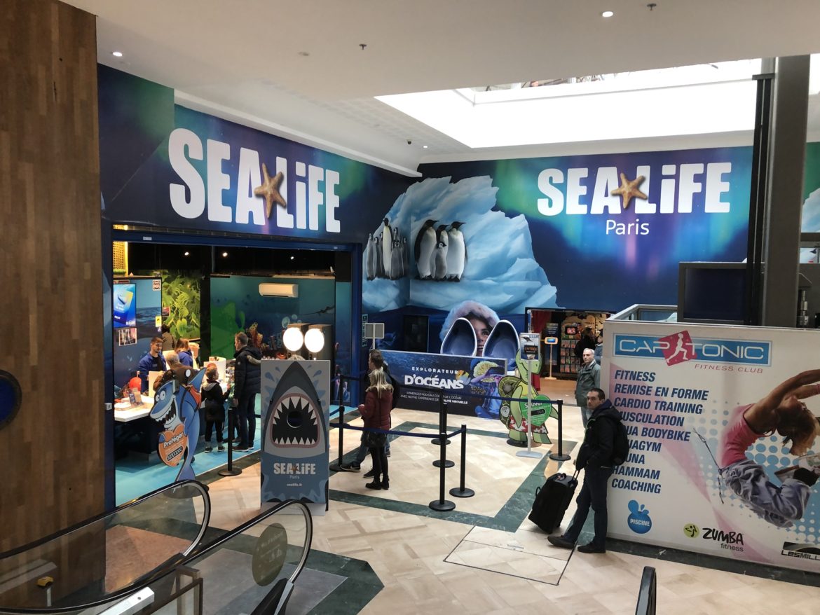 Sea Life Val D'Europe - Blog des Parents